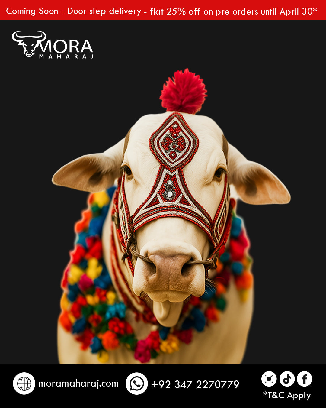 Cow Mora – Mora Maharaj
